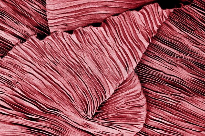 1,524 Pleated Wallpaper Photos - Free & Royalty-Free Stock Photos from ...