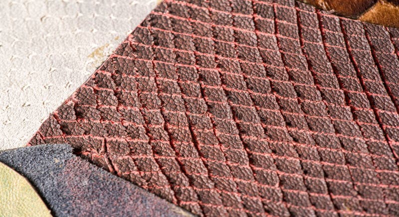 Rough Skin Artist Stock Photos - Free & Royalty-Free Stock Photos from ...