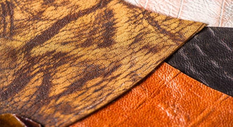 Rough Skin Artist Stock Photos - Free & Royalty-Free Stock Photos from ...