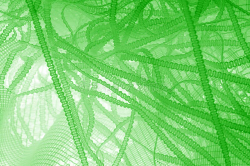 Green Tulle Stock Illustrations – 628 Green Tulle Stock Illustrations ...