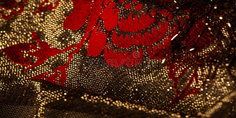 Texture, Background, Pattern, Lace with Gold Sequins Elastic Lace ...
