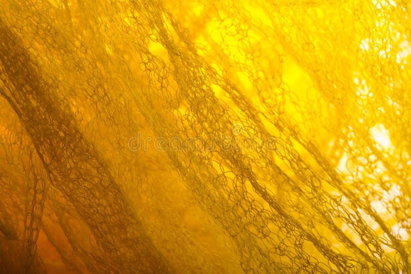 Texture Background, Pattern. Mesh Yellow Fabric. Ideal for Accents on ...