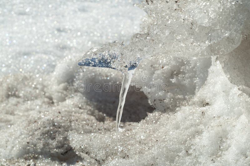 Texture, Background, Pattern. the Spring Snow Melts. the Beginning of a ...