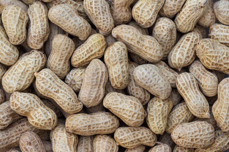 Texture Background Peanuts, Dried Peanuts, Savory Peanuts. Stock Photo - Image of vegetarian ...
