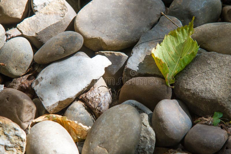Texture, Background. Pebbles. a Small Stone Made Smooth and Round by ...