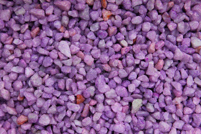 Texture and Background of Purple Pebbles Stock Image - Image of ...