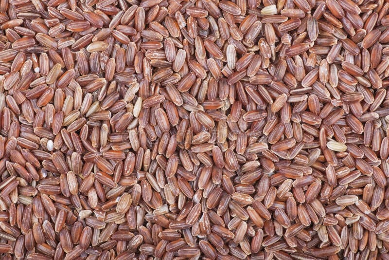 Texture Background of Red Rice Stock Image - Image of food, texture ...