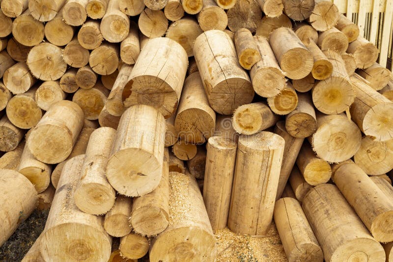 Firewood stock photo. Image of stack, woodpile, firewood - 258499690