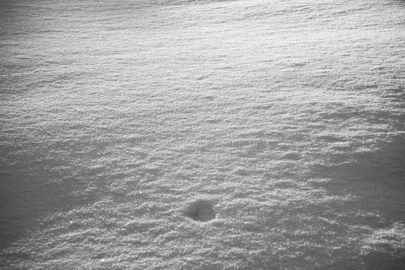 Texture and Background of Snow-covered Surface.Sparkling Snow ...