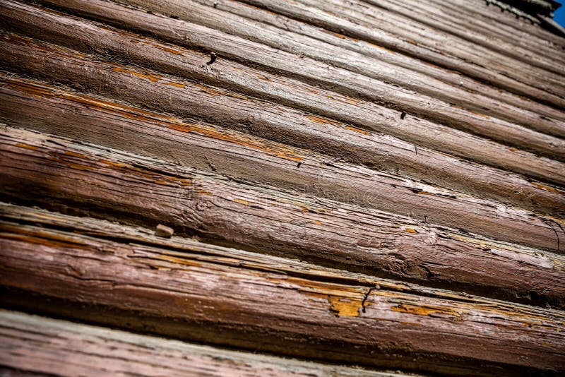 Texture Background Tree Logs Horizontal Brown Stock Photo - Image of ...