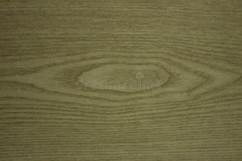 Texture Background Tree Slit Striped Shrewish Stock Image - Image of ...