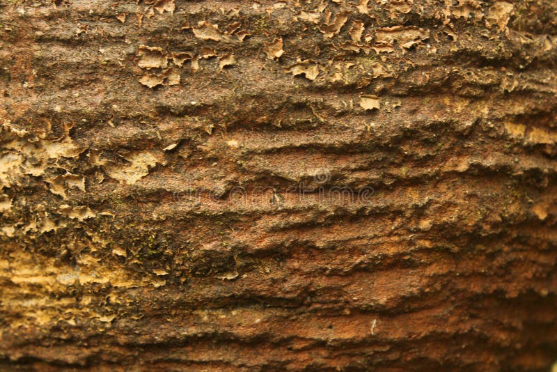 Texture Background of Water Fountain Rock Surface Stock Photo - Image ...