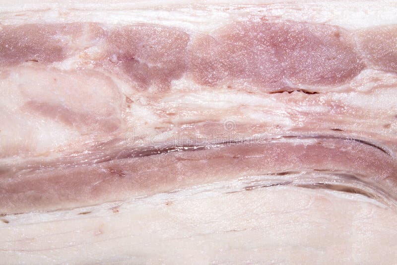 The Texture of the Bacon.Texture of Pork Belly Stock Photo - Image of ...