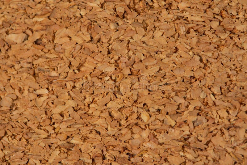 Texture of Balsa Wood Material Close-up Macro, High Resolution Stock ...