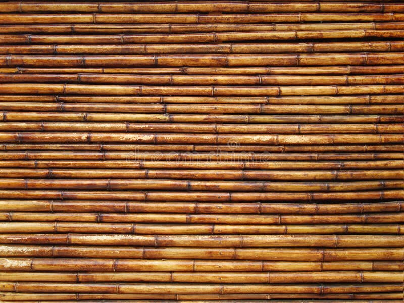 Texture of Bamboo Stalks Wall Stock Image - Image of design, brown ...