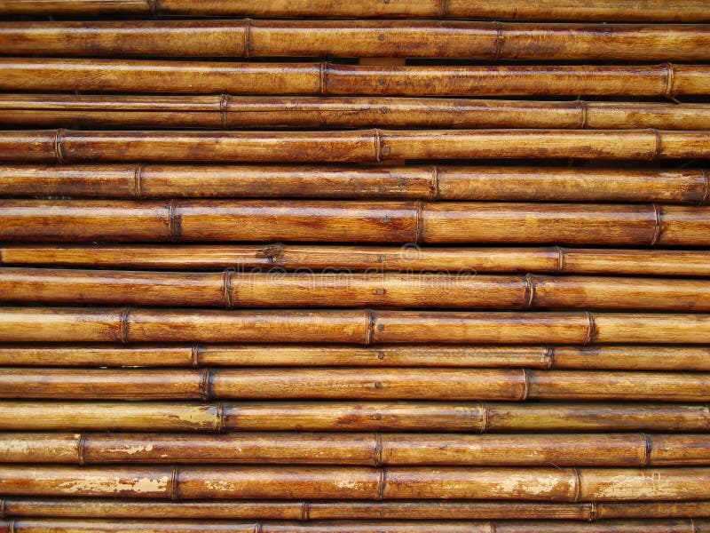 Texture of bamboo wall stock image. Image of floor, glossy - 159623915