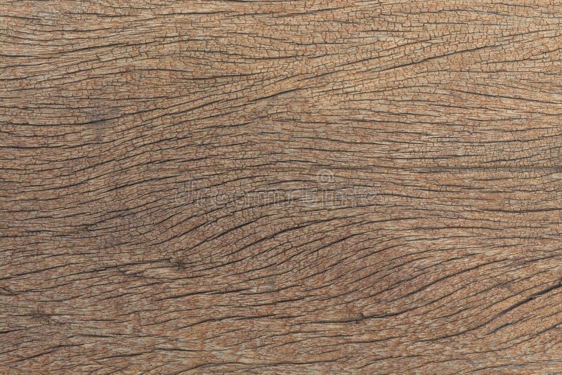 Texture of Bark, Wood Grain Background Stock Photo - Image of empty ...
