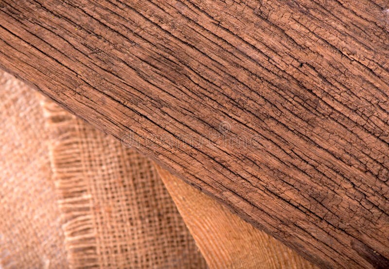 Texture of Bark Wood Use As Natural Background. Stock Image - Image of ...