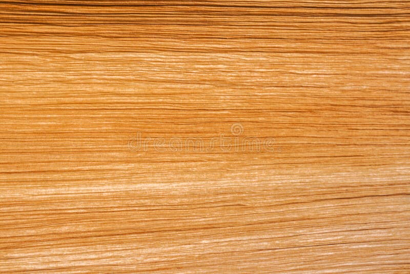 Bark Floor stock image. Image of abstract, surface, panel - 234307667