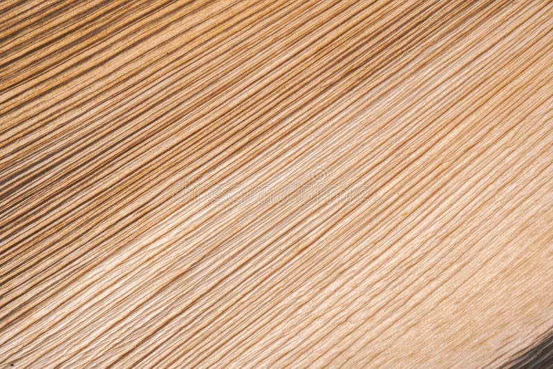 Bark Floor stock image. Image of abstract, surface, panel - 234307667