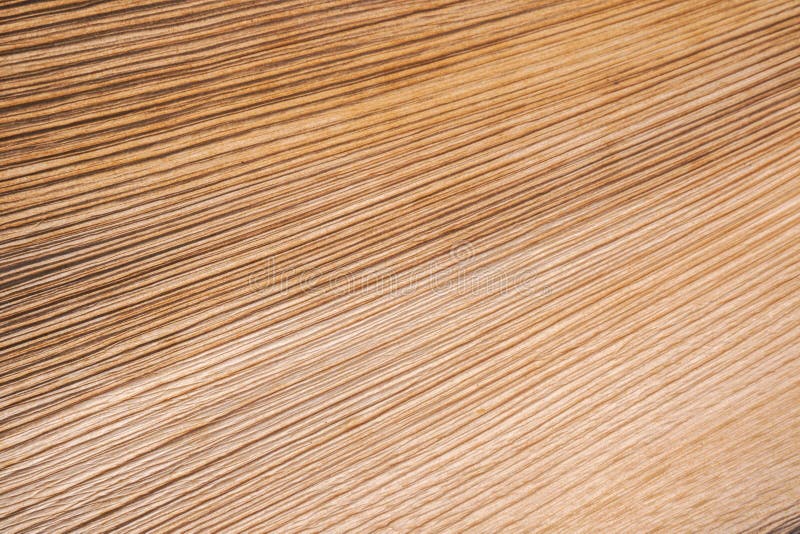 Bark Floor stock image. Image of material, plank, abstract - 234307729