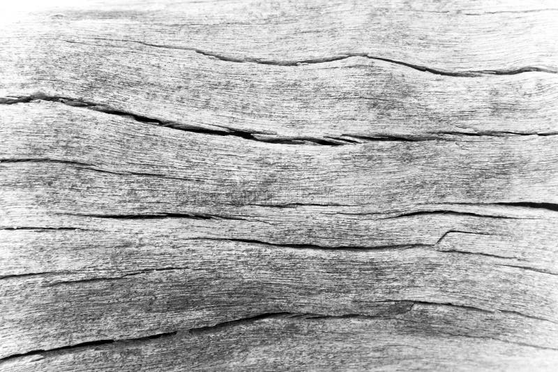 Texture of Bark Wood Use As Natural Background, Surface Eroded B Stock ...