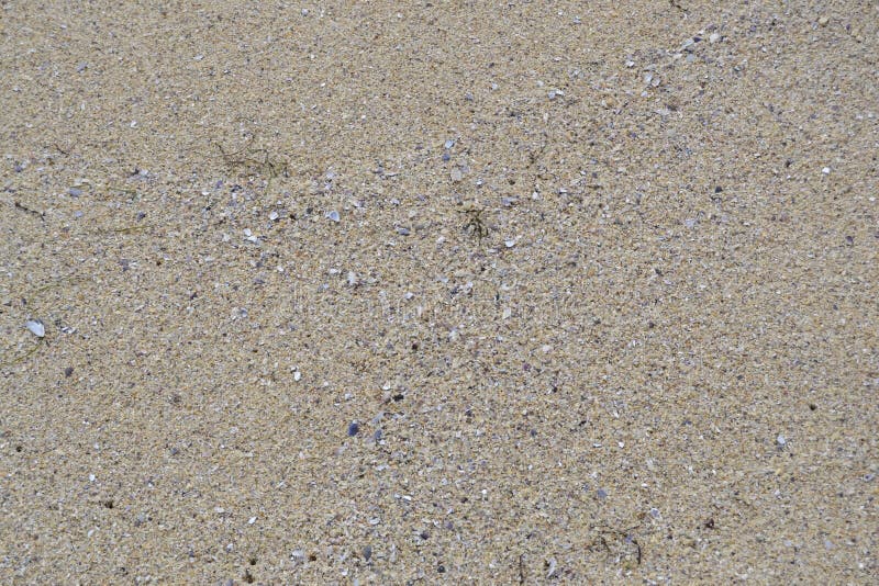 Texture of beach sand stock photo. Image of natural - 107637316