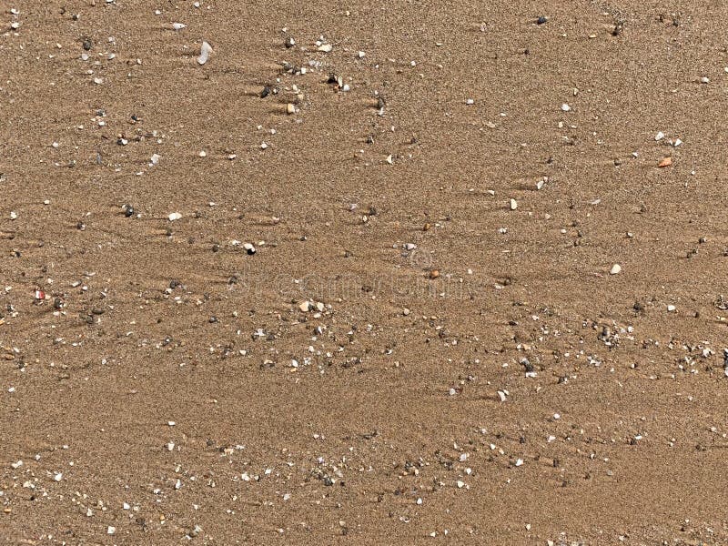 Texture of Beach Sand with Pebbles Stock Photo - Image of yellow, beige ...