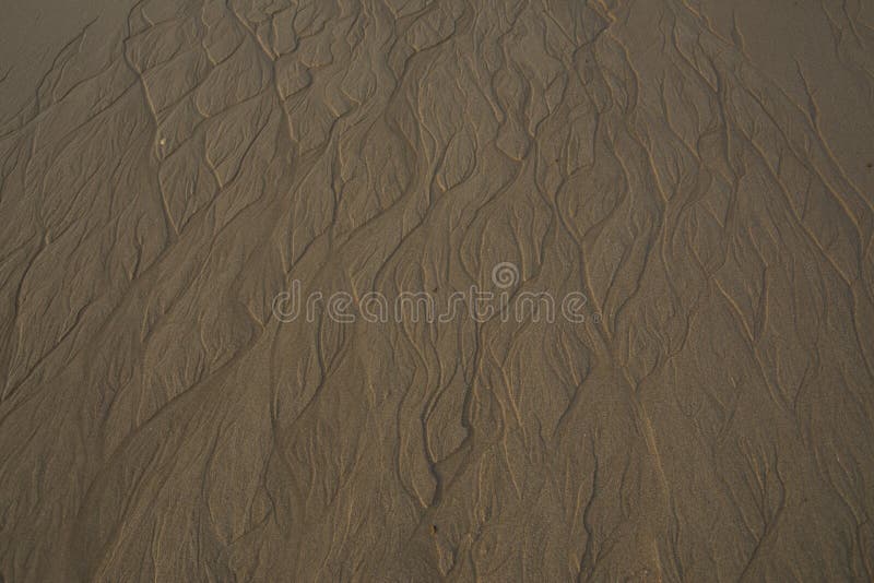 Wetland Texture Seamless Stock Photos - Free & Royalty-Free Stock ...