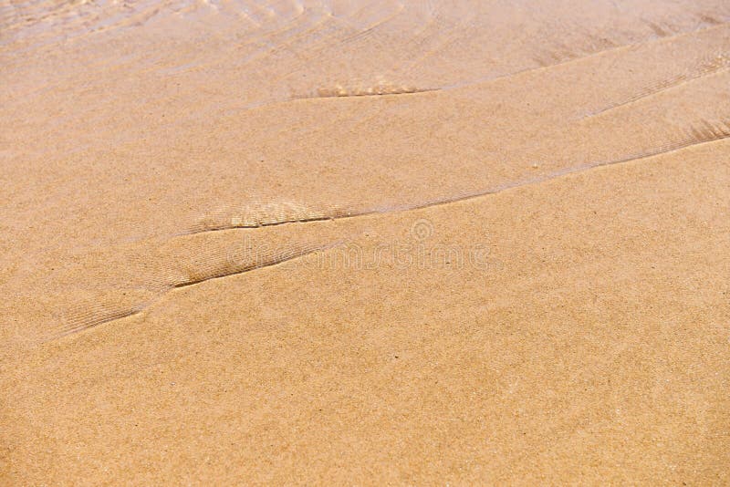 Texture Beach Sandy Surface with Ripples Formed Stock Image - Image of ...