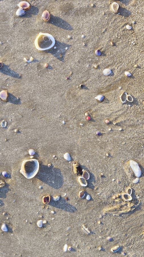 The Texture of the Beach Soil Forms a Natural Pattern Due To Sea Water ...