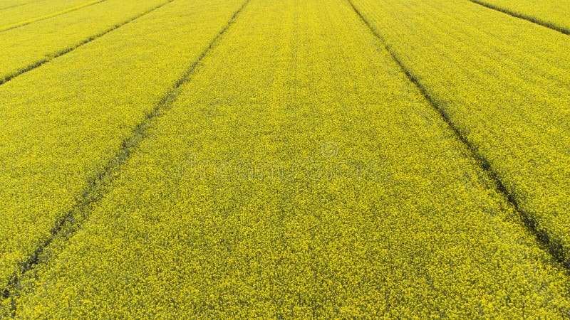 Dron Landscape Texture Stock Photos - Free & Royalty-Free Stock Photos ...