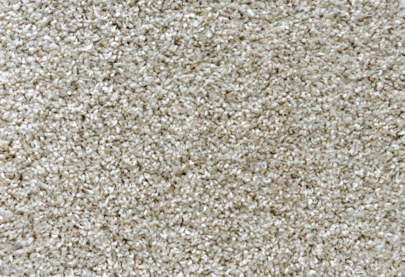 Texture of the Beige Carpet with Soft Pile. Carpet Background Stock ...