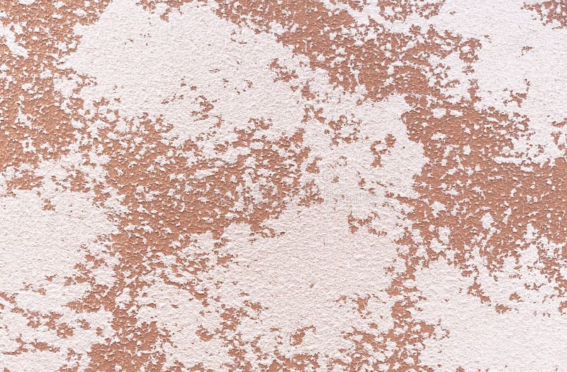 Texture of Beige Decorative Plaster on the Wall in the Interior of the ...