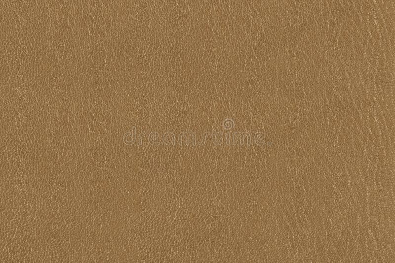 Texture of beige leather stock photo. Image of backdrop - 252117054
