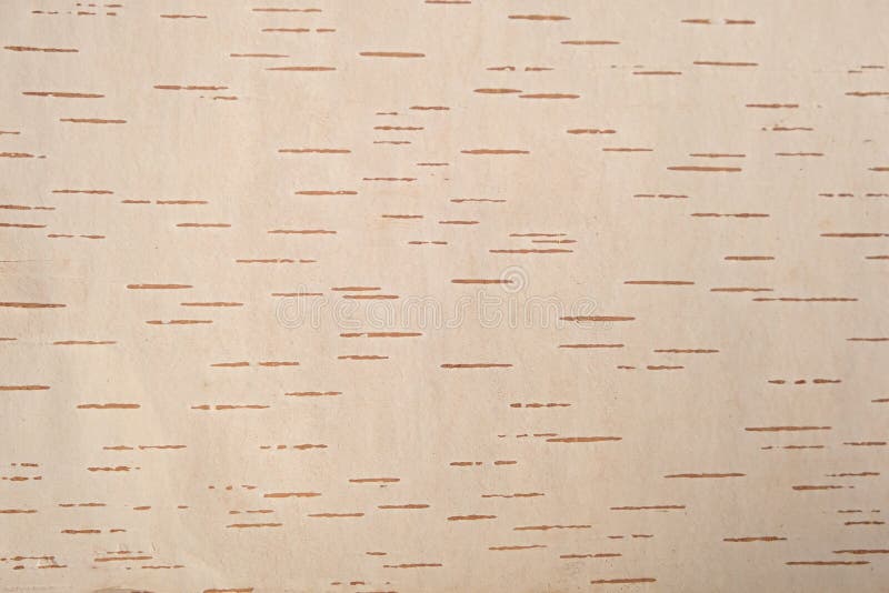 The Texture of Birch Bark. Background of Birch Bark. Red Birch Bark ...