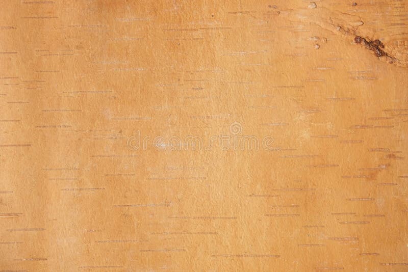 The Texture of Birch Bark. Background of Birch Bark. Red Birch Bark ...