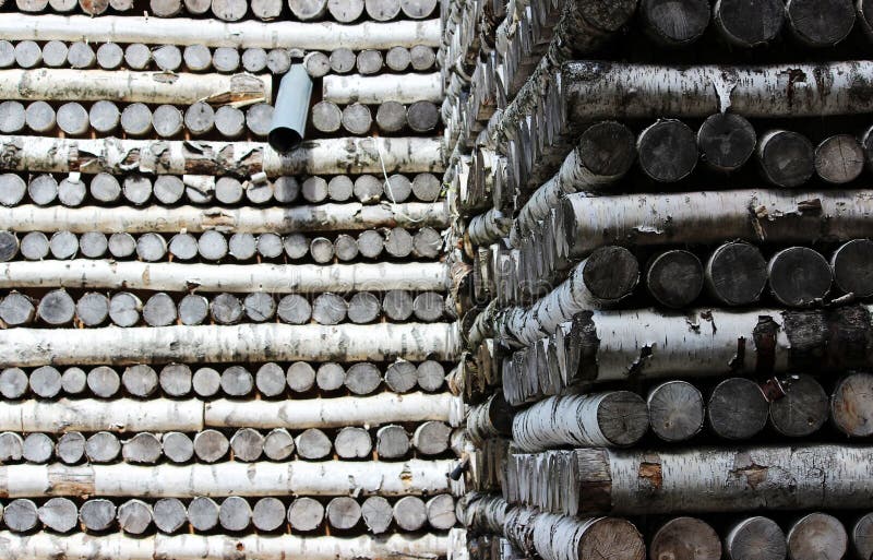 Texture of Birch Logs Stacked Pattern on the Walls the House Stock ...