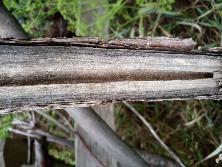 Texture and Bizarre Pattern of an Old Broken Off Tree Branch Darkened ...
