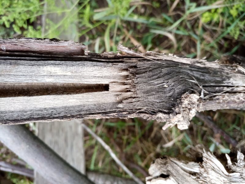 Texture and Bizarre Pattern of an Old Broken Off Tree Branch Darkened ...