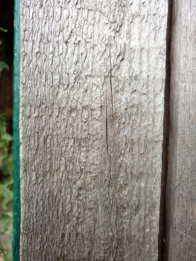 Texture and Bizarre Pattern of Old Worn Darkened Wooden Board with ...