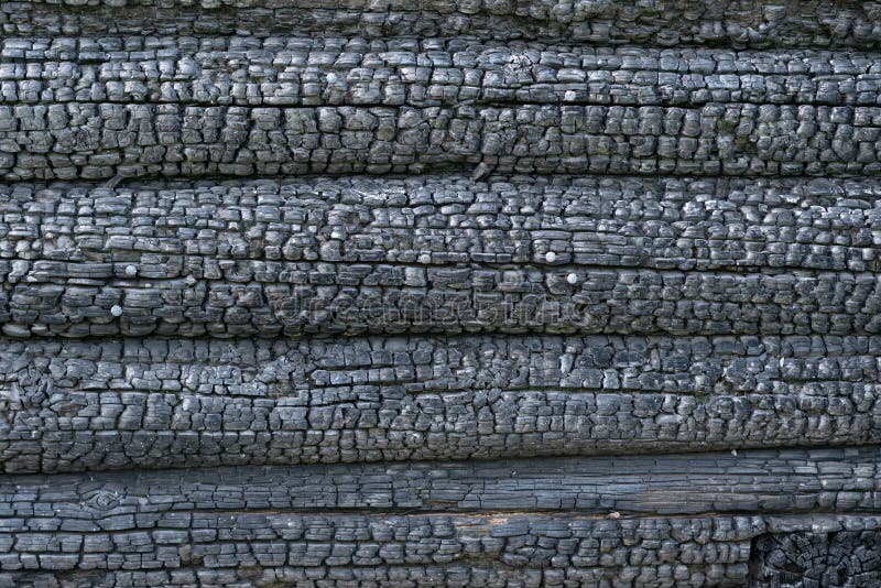 Texture of Black Burned Wooden Log Wall Stock Photo - Image of texture ...