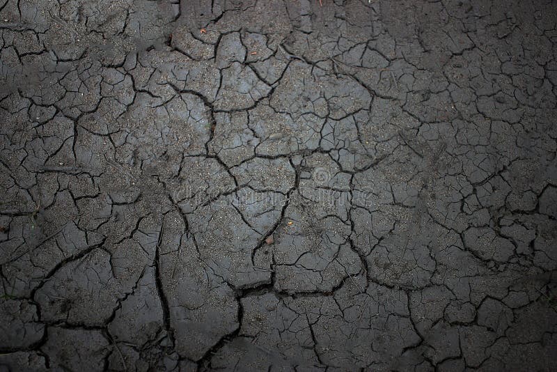 Texture of Black Earth, Cracks on Fertile Land without Rain Stock Photo ...