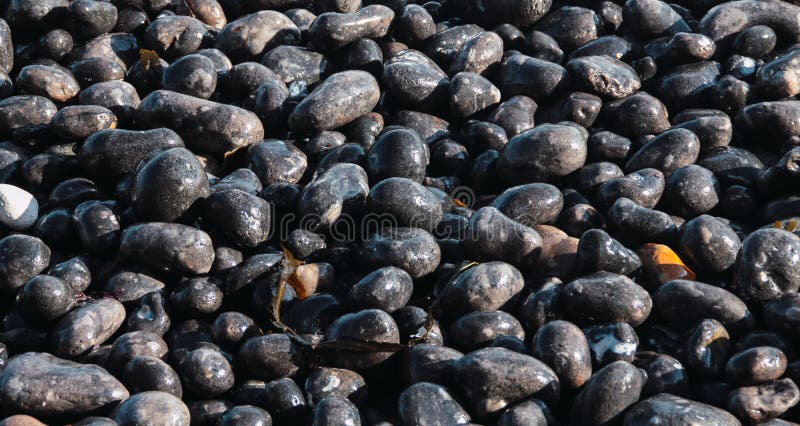 Texture of Black Pebbles in a Beach Stock Photo - Image of heap ...