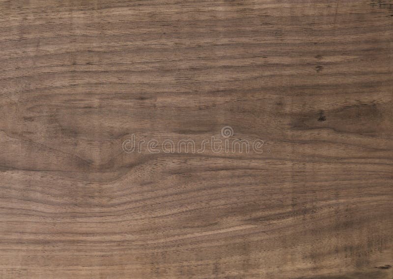 Black Walnut Wood Texture with Oil Finish Stock Image - Image of walnut ...