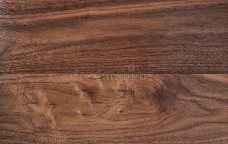 Texture of Black Walnut Surface with Oil Finish Stock Photo - Image of ...