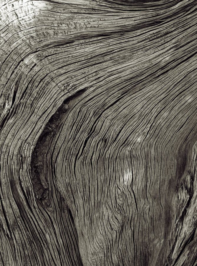 Texture in black and white stock image. Image of hard - 5447455