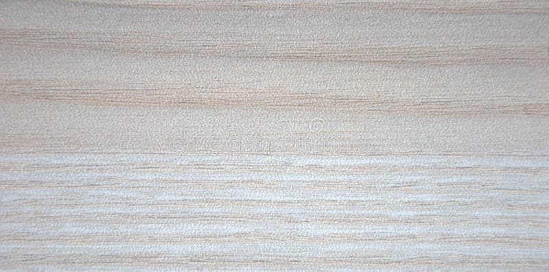 Texture of Bleached Wood on a Cut Closeup. Background. Close Up Shot ...