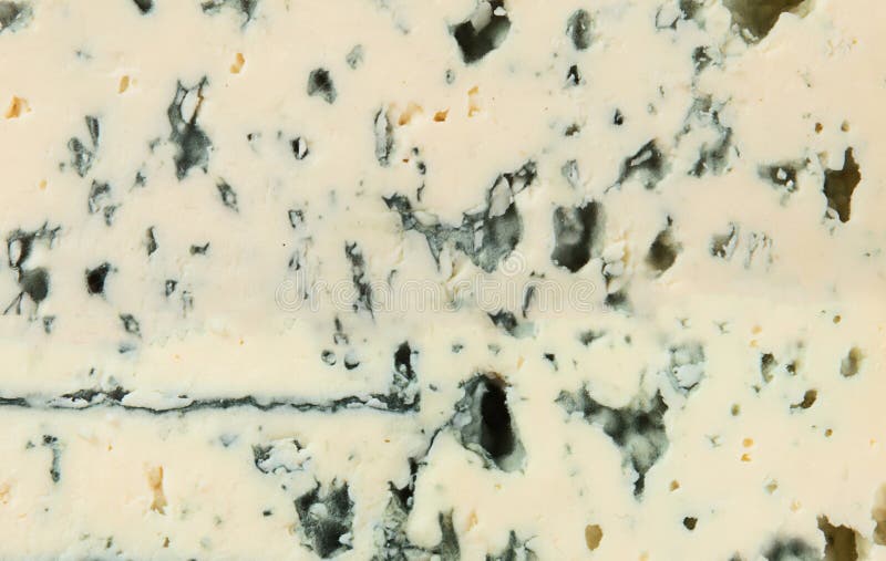 Texture of blue cheese stock photo. Image of textured - 376944012