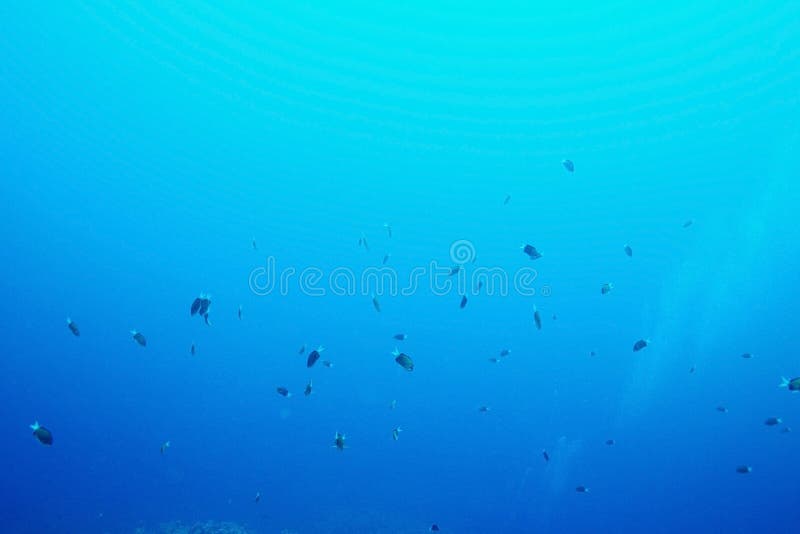 Texture blue sea water stock photo. Image of extreme - 65994972